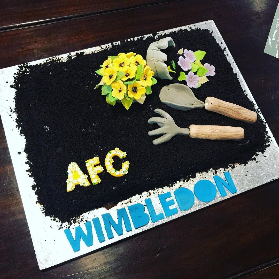 AFC Wimbledon cake – Willow Bough